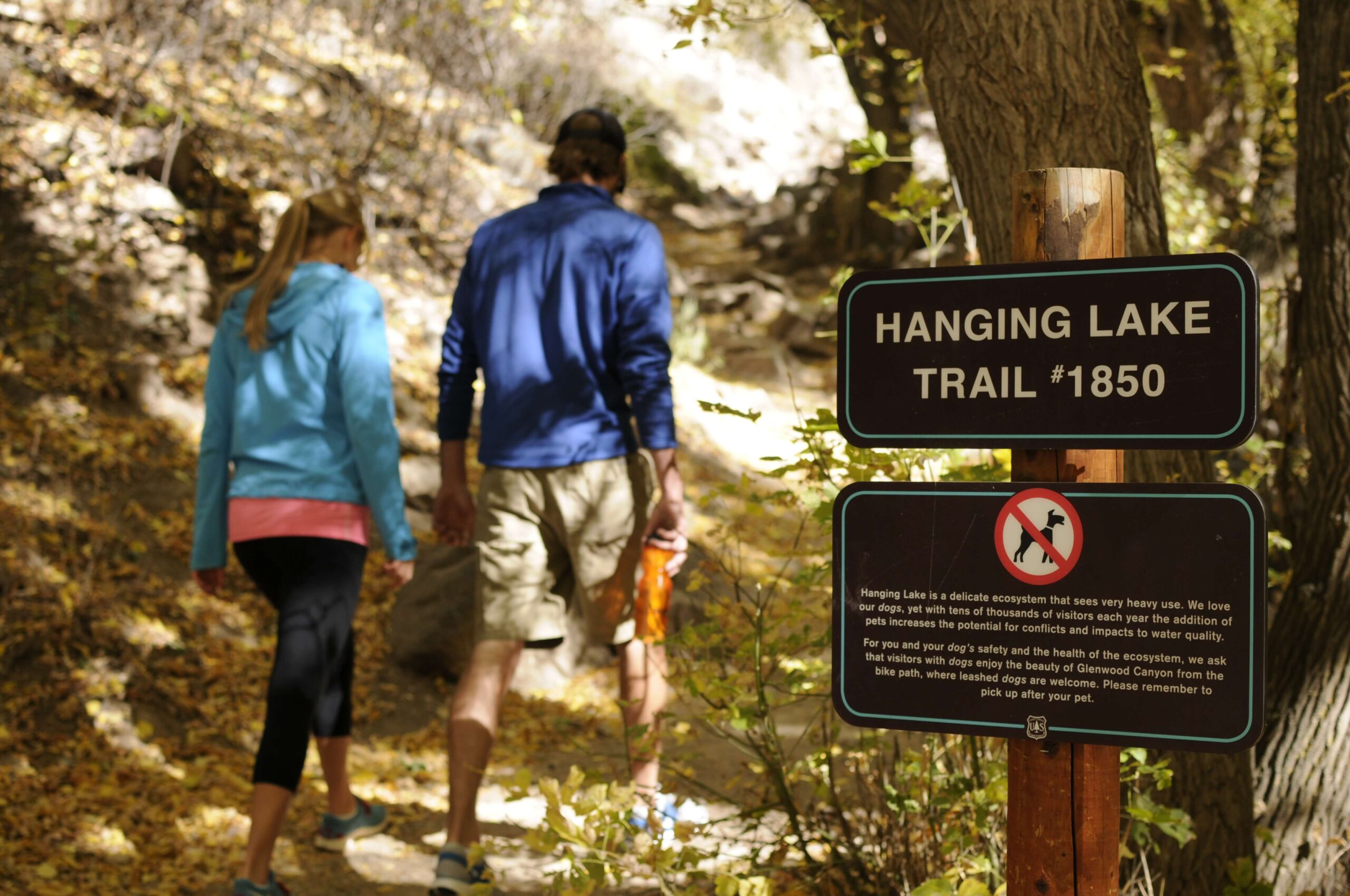 Hanging Lake Resource Guide - Hiking Guide & Helpful Information